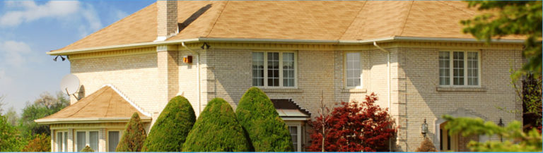 Homepage - Pulse Insurance Europe