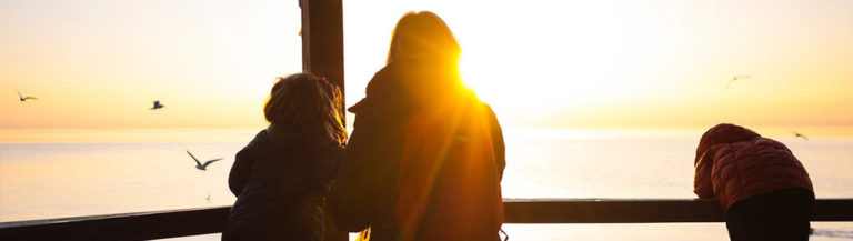 Homepage - Pulse Insurance Europe